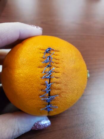 Ready, Set, Suture! (Lesson 4 of 4) :: Lesson Plans :: California ...