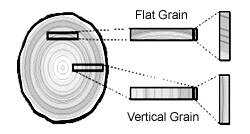Grain orientation in a log :: Resources :: California Educators Together