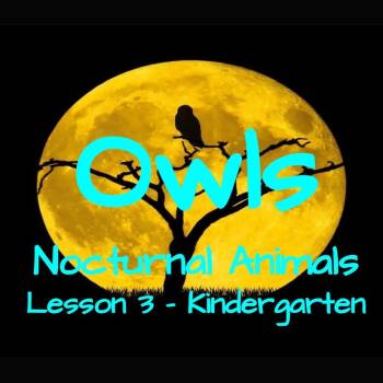 Nocturnal Animals - Owls (Lesson 3) :: Lesson Plans :: California ...