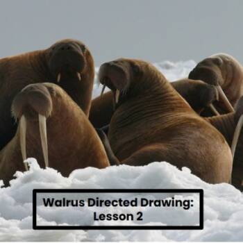 Directed Drawing Of A Walrus(Lesson 2) :: Lesson Plans :: California ...