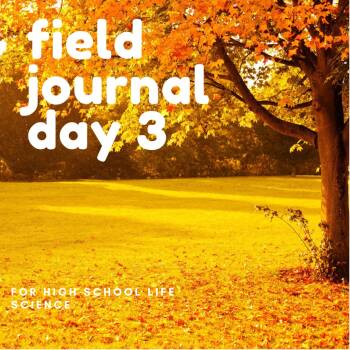 Field Journal Day 3 (1 hour) :: Lesson Plans :: California Educators ...