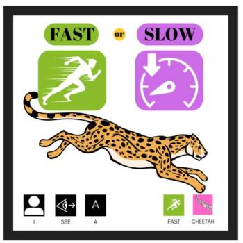 Vocabulary: Attributes ("Fast" and "Slow") Lesson 2 of 3 :: Lesson ...