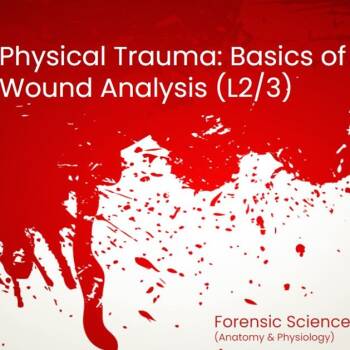 Physical Trauma: Basics of Wound Analysis (L2/3) :: Lesson Plans ...