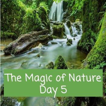 The Magic Of Nature- Day 5 of 5 :: Lesson Plans :: California Educators ...