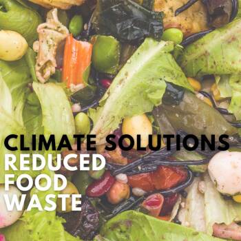 Climate Solutions Series: Reduced Food Waste :: Lesson Plans ...