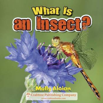 Informational Text in TK Insects and Ecology Lesson 3 :: Lesson Plans ...