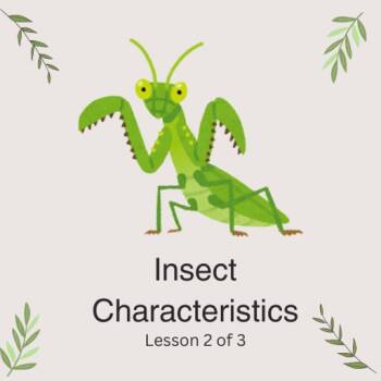 Insect Characteristics - Lesson 2 of 3 :: Lesson Plans :: California ...