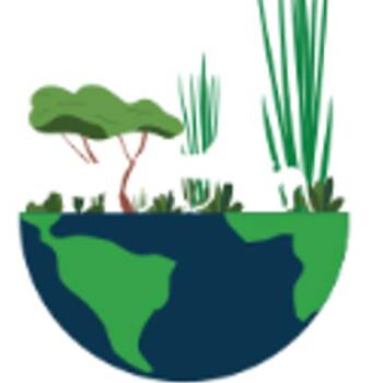 Christina Chaney Lesson 2 of 3 Animals and Their Adaptations :: Lesson ...