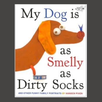 My Dog is as Smelly as Dirty Socks: An Introduction to Similes - Part 1 ...