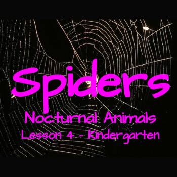 Nocturnal Animals - Spiders (Lesson 4) :: Lesson Plans :: California ...