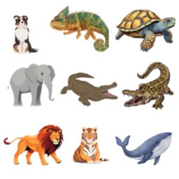Animal Classification Bundle :: Unit :: California Educators Together