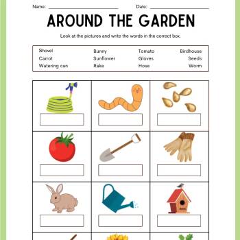 Around the Garden Vocabulary Matching Worksheet :: Resources ...