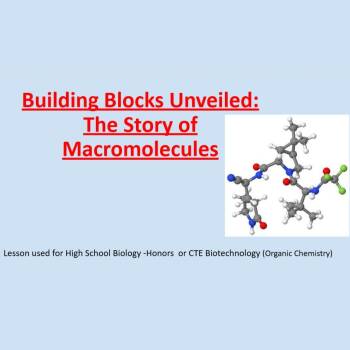 Building Blocks Unveiled: The Story of Macromolecules :: Resources ...