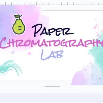 Paper Chromatography Lab Peardeck/Teacher Slides :: Resources ...