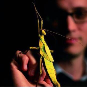 Arthropod Adaptations – Inside the Insect Zoo :: Resources ...