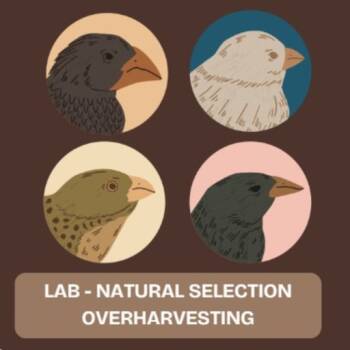 LAB - Consider Overharvesting and Selection :: Resources :: California ...