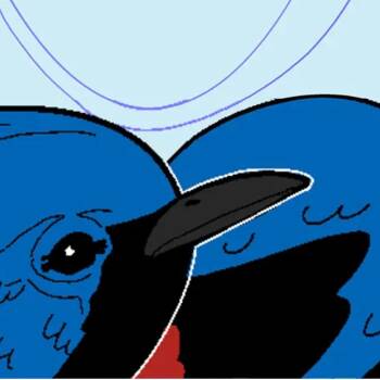 Fairywrens and the Art of Inquiry :: Resources :: California Educators ...