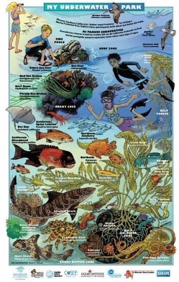 MPA Underwater Parks Posters :: Resources :: California Educators Together
