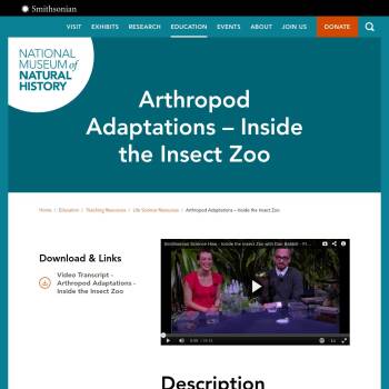 Arthropod Adaptations :: Resources :: California Educators Together