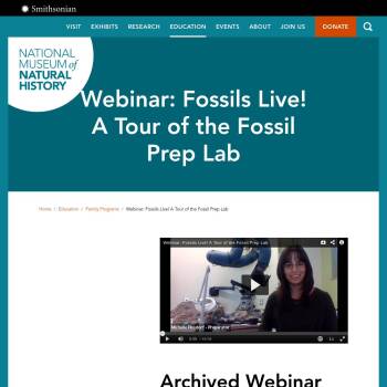 Fossils Live! A Tour of the Fossil Prep Lab :: Resources :: California ...