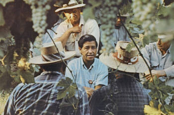 The United Farm Workers and the Delano Grape Strike :: Resources ...