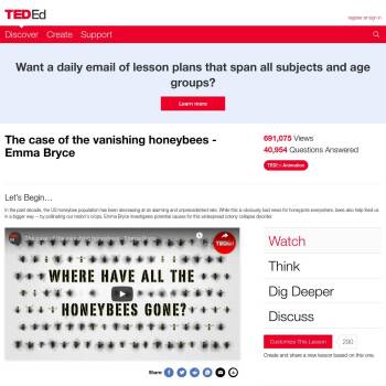 The case of the vanishing honeybees - Emma Bryce :: Resources ...