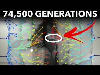 The Longest-Running Evolution Experiment :: Resources :: California ...