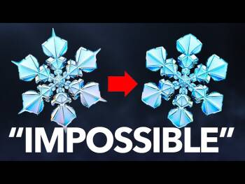 The Snowflake Mystery :: Resources :: California Educators Together