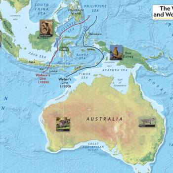 Dividing Species: Wallace Line Map :: Resources :: California Educators ...