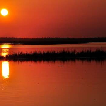 Water Highway :: Resources :: California Educators Together