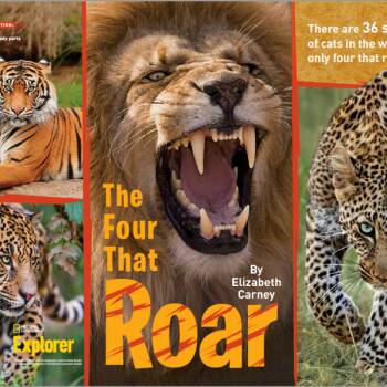 The Four that Roar :: Resources :: California Educators Together