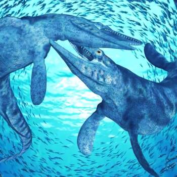 Mosasaurs 101 :: Resources :: California Educators Together