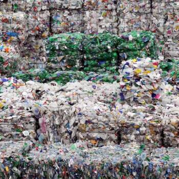 The Reality of Plastics :: Resources :: California Educators Together