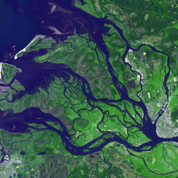 Tracking Plastic Debris :: Resources :: California Educators Together