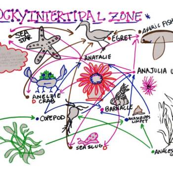 Food Chains and Webs :: Resources :: California Educators Together