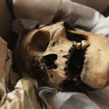 Analyzing Himalayan Mummies :: Resources :: California Educators Together