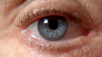 Evolution of the Eye :: Resources :: California Educators Together