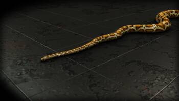 The Monster Python :: Resources :: California Educators Together