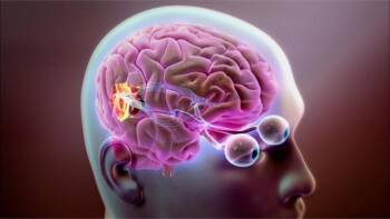 Magic and the Brain :: Resources :: California Educators Together