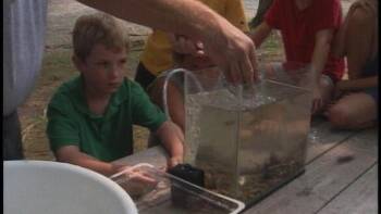 Indiana Expeditions | Make Your Own Aquarium :: Resources :: California ...