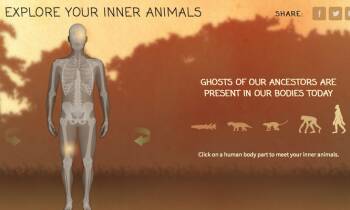 Explore Your Inner Animals | Your Inner Fish :: Resources :: California ...