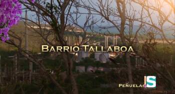 Barrios de Puerto Rico: Barrio Tallaboa de Peñuelas :: Resources ...