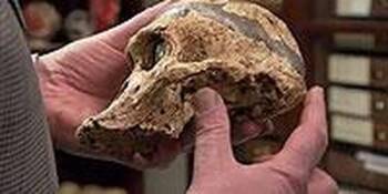 The Human Spark | Intro to Evolution: How Did We Get Here :: Resources ...