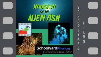 Invasion of the Alien Fish | Schoolyard Films :: Resources ...