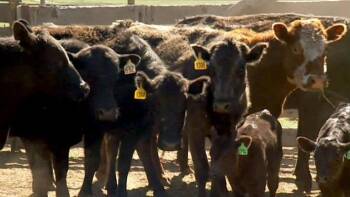 Old Ranches and New Development | America's Heartland :: Resources ...