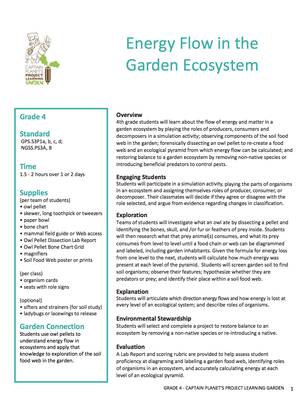 Energy Flow in the Garden Ecosystem | Project Learning Garden ...