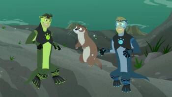 Activating Teamwork | Wild Kratts :: Resources :: California Educators ...