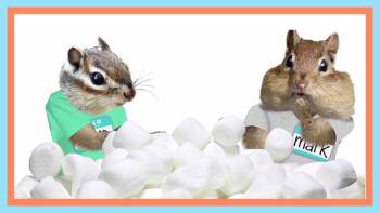 Watch out for Ambiguous Antecedents | No Nonsense Grammar :: Resources ...