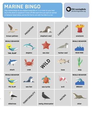 Marine Bingo :: Resources :: California Educators Together