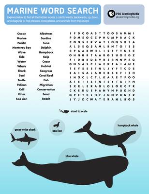 Marine Word Search :: Resources :: California Educators Together
